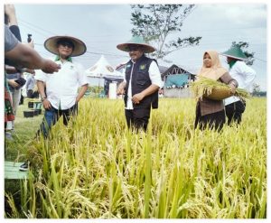 About – MTani Group