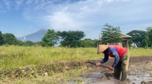 Optimalisasi Pengolahan Lahan: Teknik dan Manfaat untuk Pertanian Berkelanjutan – MTani Group